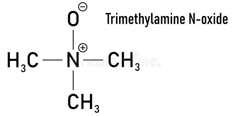 Trimethylamine N-oxide or TMAO Molecule. Skeletal Formula Stock Vector ...