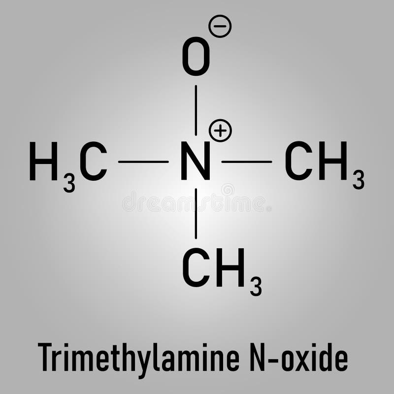 Trimethylamine Lewis Structure