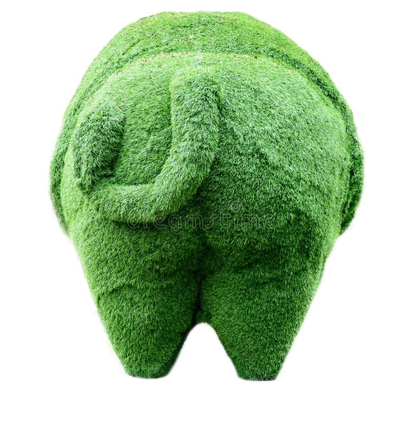 Trimmed bush in garden stock photo. Image of bush, lawn - 35341044