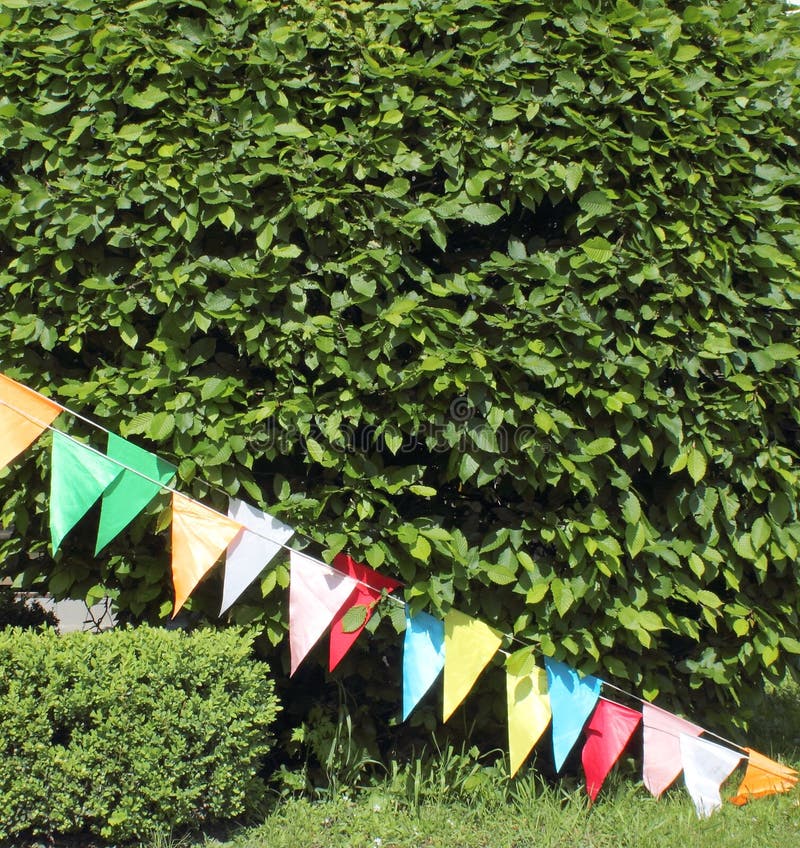 Trimmed bushes stock photo. Image of creative, spring - 54308090