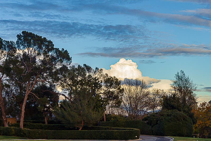 Trimmed Garden Path Along Road with Trees and Bushes Large Expanse of ...