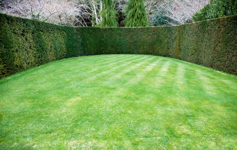 Trimmed Hedge Around Oval Lawn Stock Image - Image of mown, hedge: 24316941