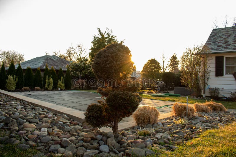 A Trimmed Tree in a Suburban Backyard Stock Image - Image of growth ...
