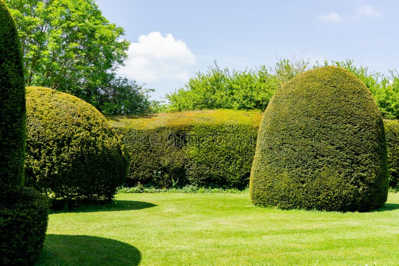 Trimmed Trees in an Old Manor House in England Stock Image - Image of ...