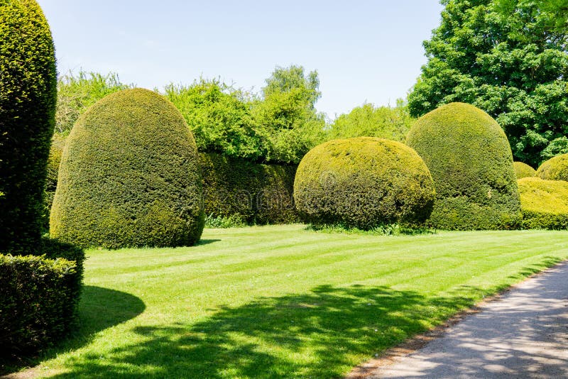 Trimmed Trees in an Old Manor House in England Stock Photo - Image of ...
