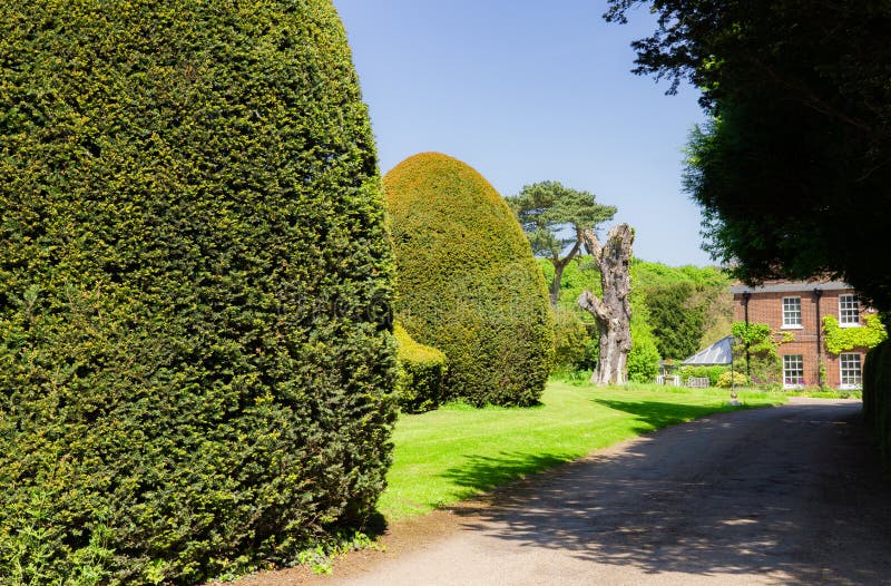 Trimmed Trees in an Old Manor House in England Stock Image - Image of ...