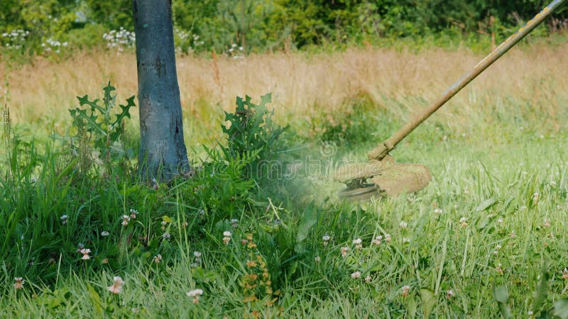 Gardener Mows Grass Around Tree Trunks Stock Video - Video of trimmer ...