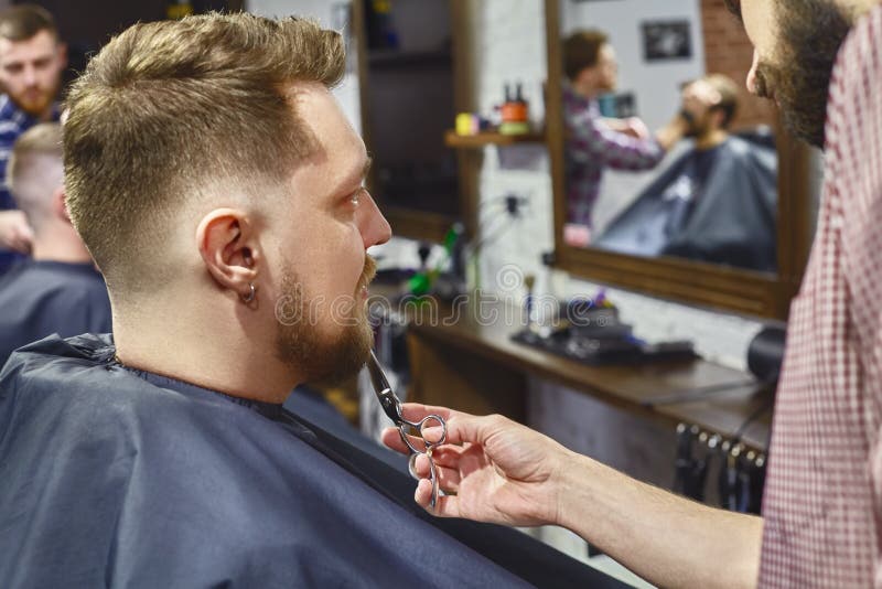 Man trimming beard stock photo. Image of lifestyle, morning - 15528338