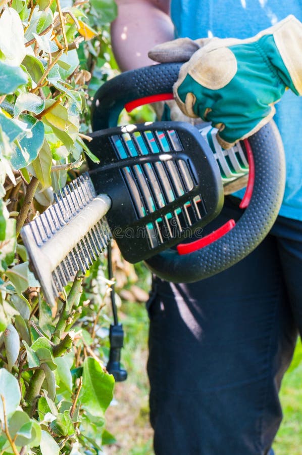 Trimming the Bushes stock photo. Image of bush, motor - 40858160