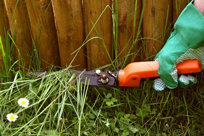 Trimming grass stock image. Image of meadow, home, scissors - 9326079