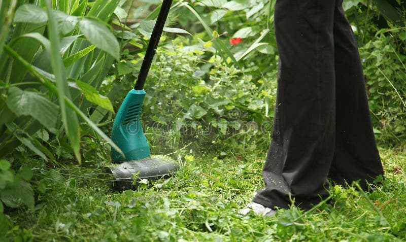 Trimming Grass with an Electric Lawn Trimmer Stock Image - Image of ...