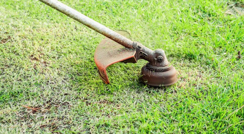 Motor of the Trimmer Rotating Fast and Cutting the Grass Off. Stock ...