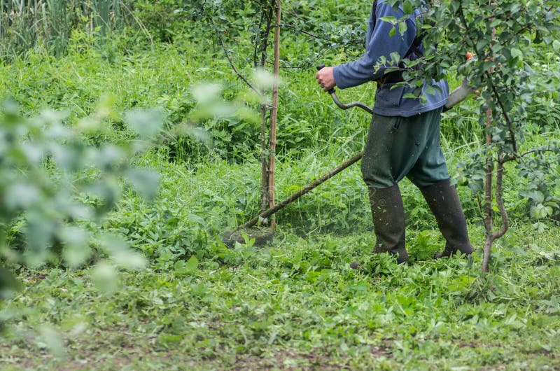 Trimming grass stock photo. Image of male, land, field - 43596522