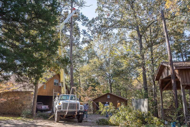 Trimming Trees. editorial photo. Image of industry, bucket - 82544846
