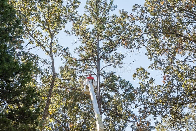143 Tree Trimming Bucket Truck Photos - Free & Royalty-Free Stock ...
