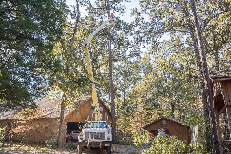 147 Tree Trimming Bucket Truck Photos - Free & Royalty-Free Stock ...