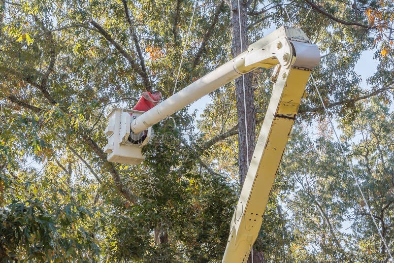 156 Tree Trimming Bucket Truck Stock Photos - Free & Royalty-Free Stock ...