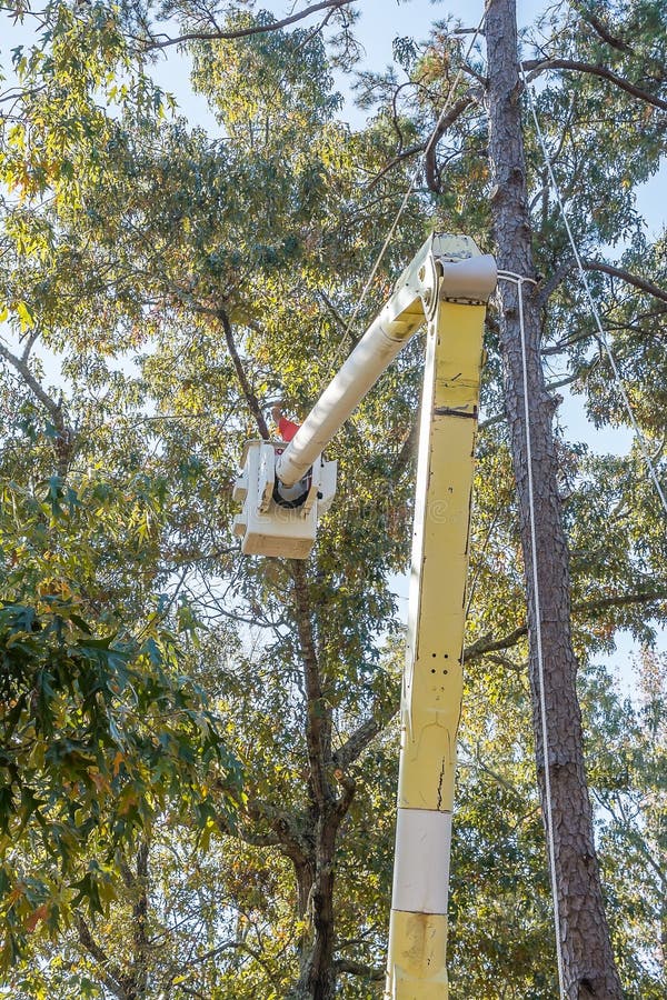 147 Tree Trimming Bucket Truck Photos - Free & Royalty-Free Stock ...