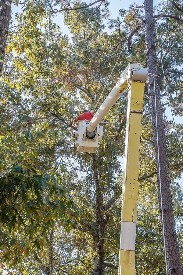 156 Tree Trimming Bucket Truck Stock Photos - Free & Royalty-Free Stock ...
