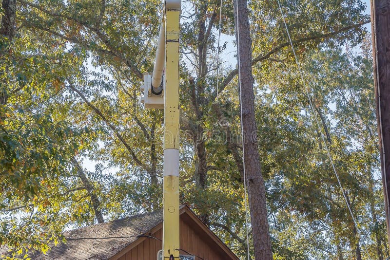 Trimming Trees. stock photo. Image of chainsaw, rope - 82683282