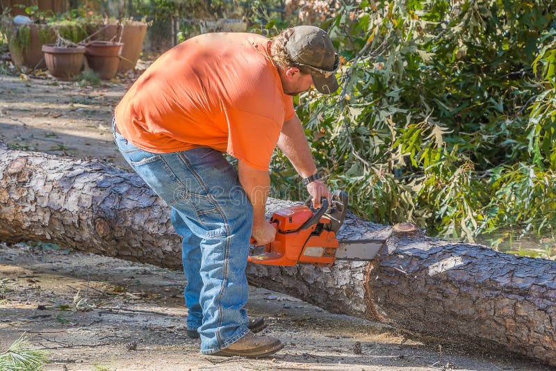 Trimming Trees. editorial photo. Image of green, trimmer - 82547901