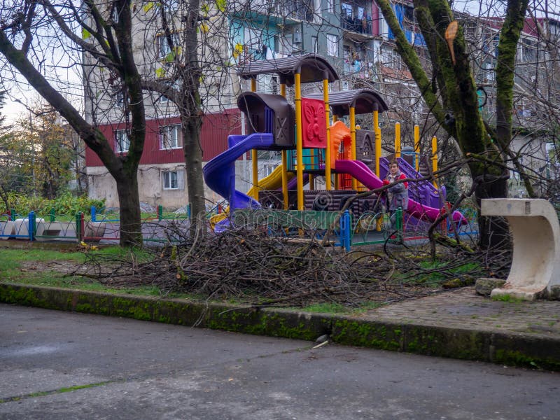 Trimming Trees in the Yard. Cutting a Tree Trunk. Municipality Work ...