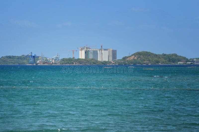 2,153 Prima Photos - Free & Royalty-Free Stock Photos from Dreamstime