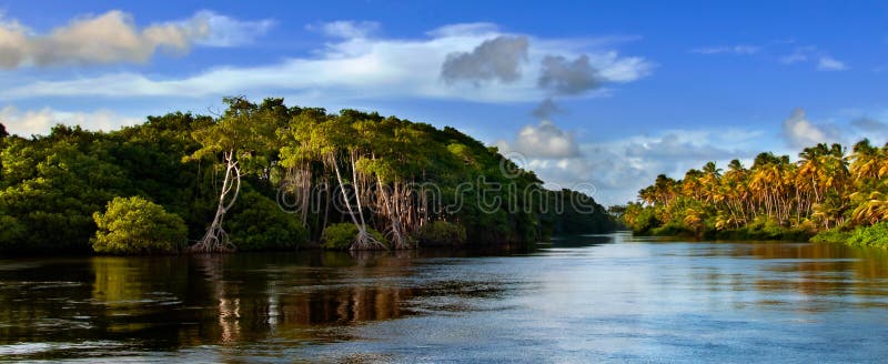 Trinidad and Tobago - Mayaro Stock Photo - Image of bird, outdoors ...