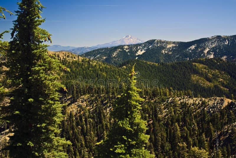 Trinity Alps and Mount Shasta Stock Photo - Image of alps, trail: 12168140
