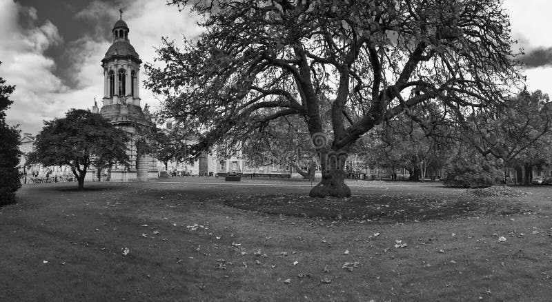 Trinity College Campus Grounds Stock Image - Image of ireland, college ...