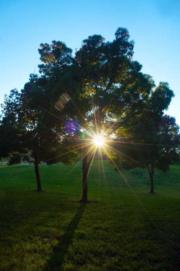 Trinity stock image. Image of trees, print, trinity, hillside - 55041367