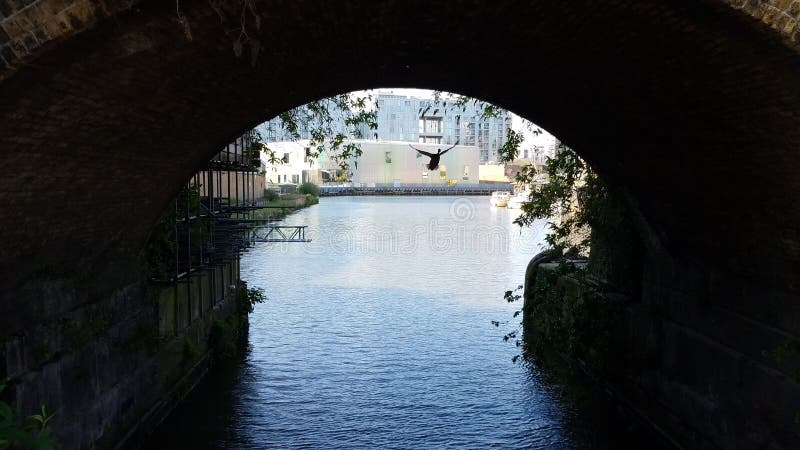 Trinity Laban Conservatoire, Greenwich Stock Image - Image of ...