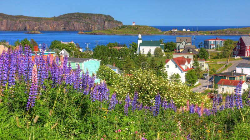 Trinity in summer stock photo. Image of harbour, town - 96529678