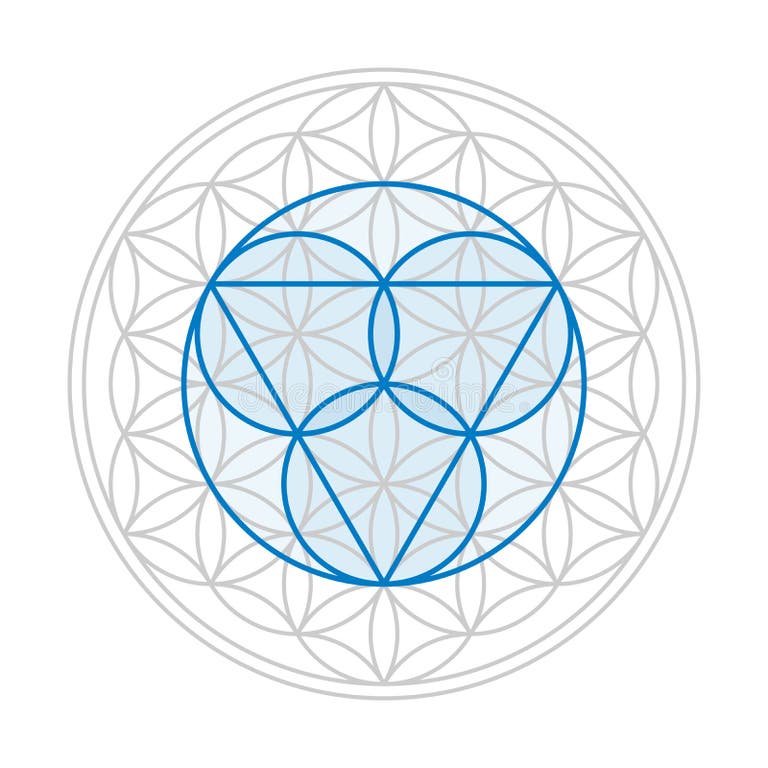 Blue Trinity Symbol Over a Gray Flower of Life, Sacred Geometry Stock ...
