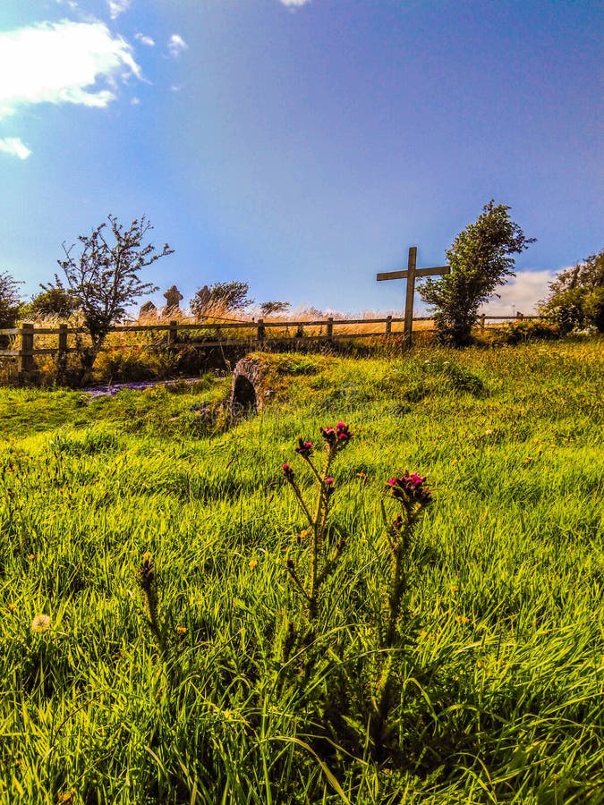 Trinity Well and Graveyard Ireland Stock Photo - Image of season, trees ...