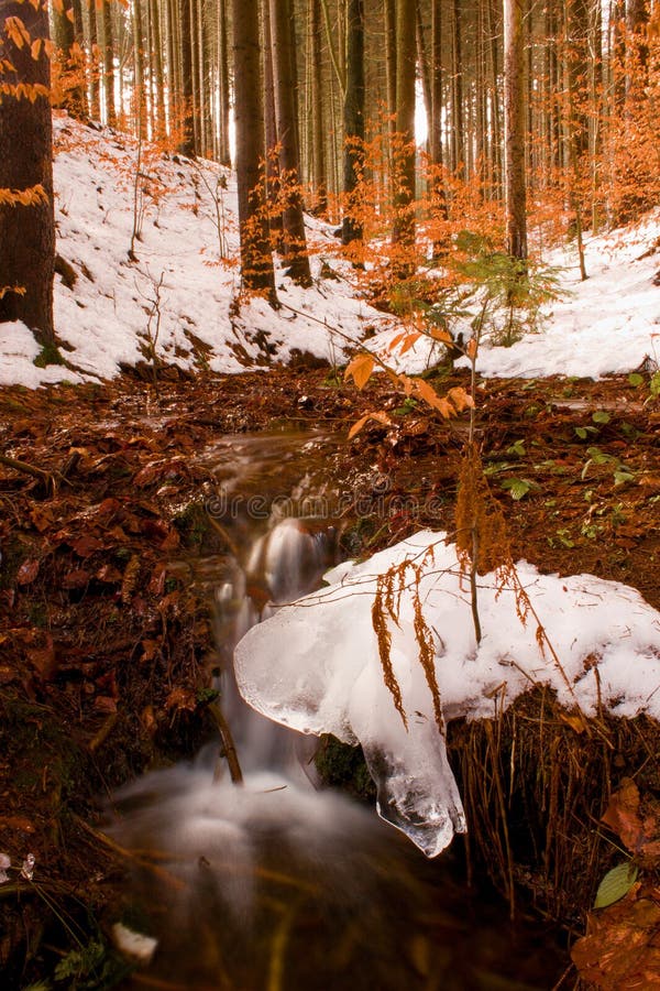 Flowing Stream with Mini Waterfall in Winter Stock Image - Image of ...