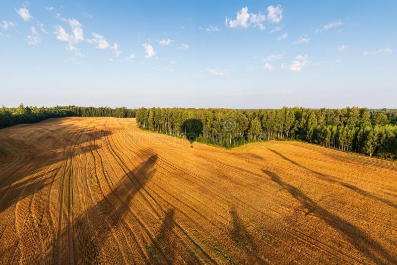 A Trip with a Hot Air Balloon Over the Field and Forest of Latvia ...