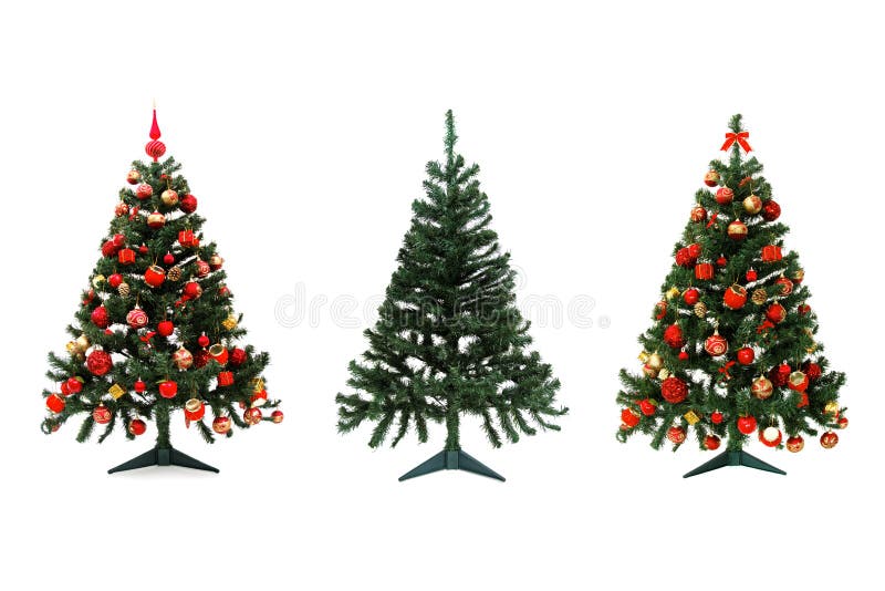 Triple Oak Tree in Autumn stock photo. Image of fall - 54086224