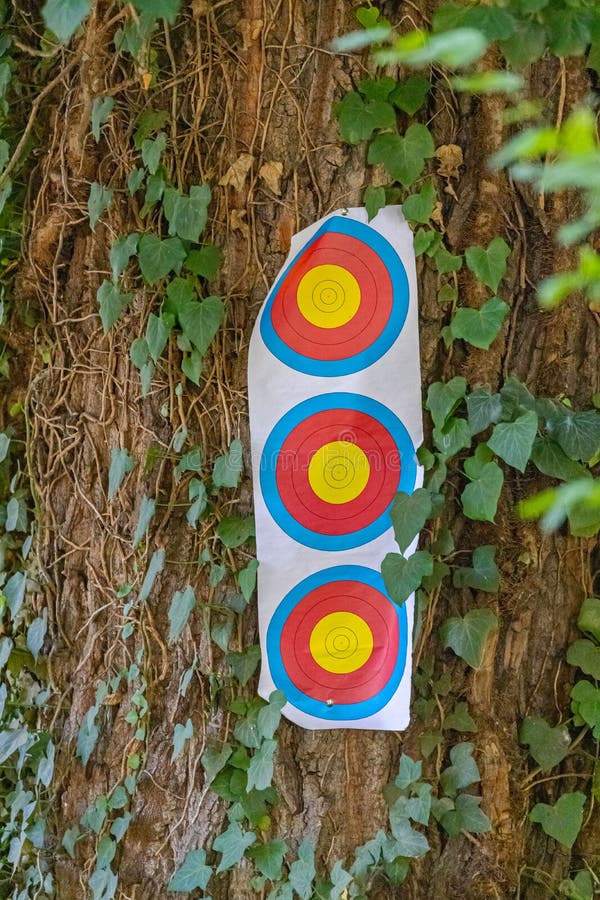 Triple Vertical Target stock photo. Image of capital - 231499208