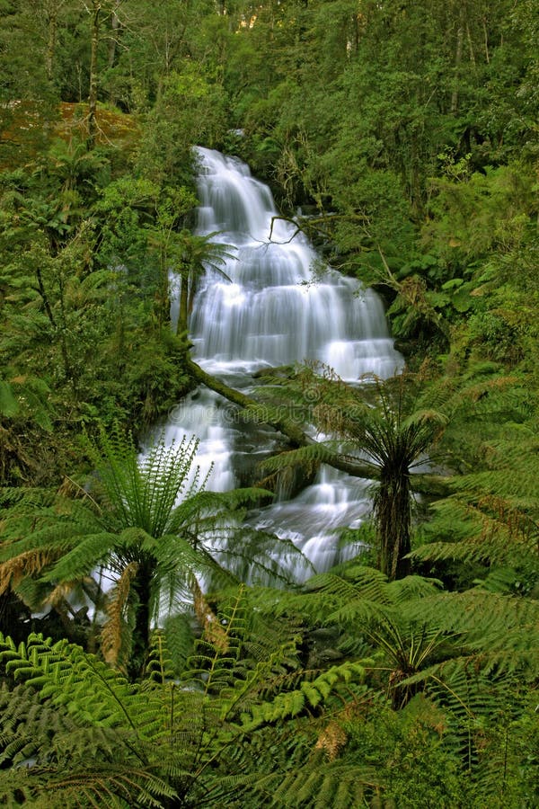 Triplet Falls, Otway State Park, Australia Stock Photo - Image of ...