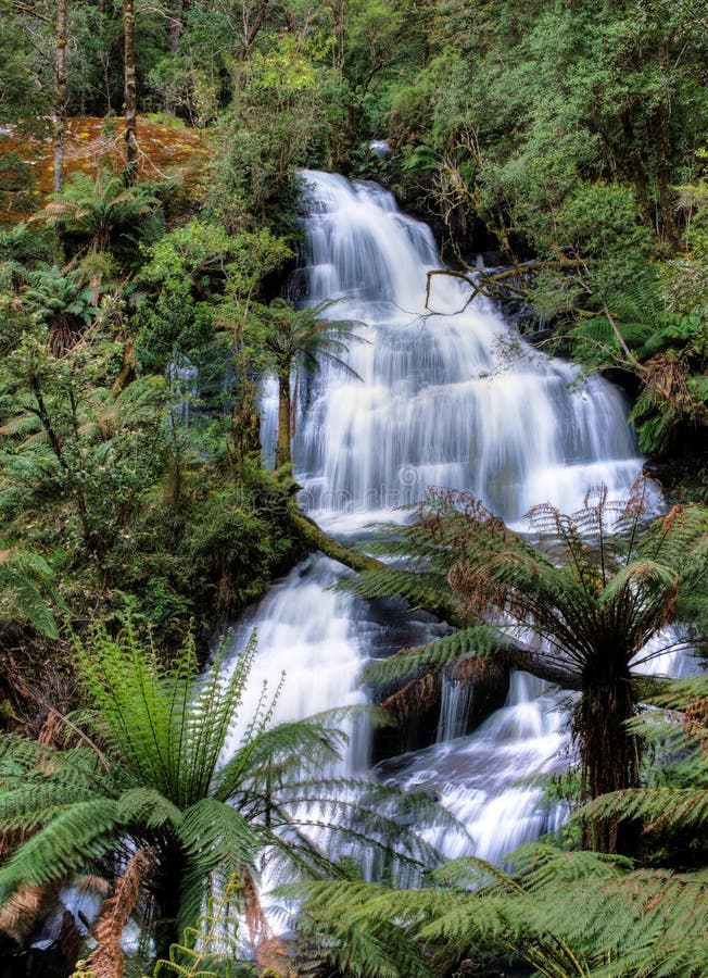 Triplet Falls, Otway State Park, Australia Stock Image - Image of water ...
