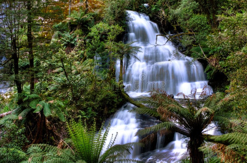 Triplet Falls, Otway State Park, Australia Stock Photo - Image of ferns ...