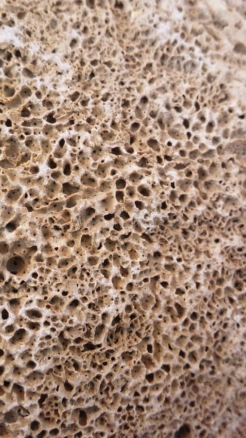 Tripophobia stock image. Image of holes, holidays, textures - 138240721