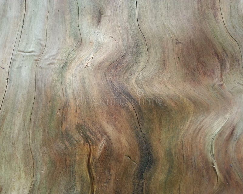 Trippy Wood Texture stock image. Image of amazing, pacific - 97758579