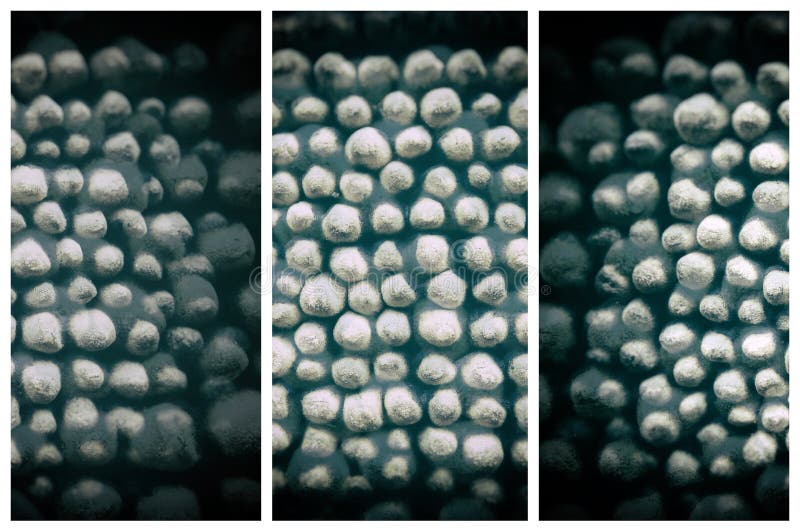 Triptych Design of Blurry Textures. Abstract Backgrounds Set Stock ...