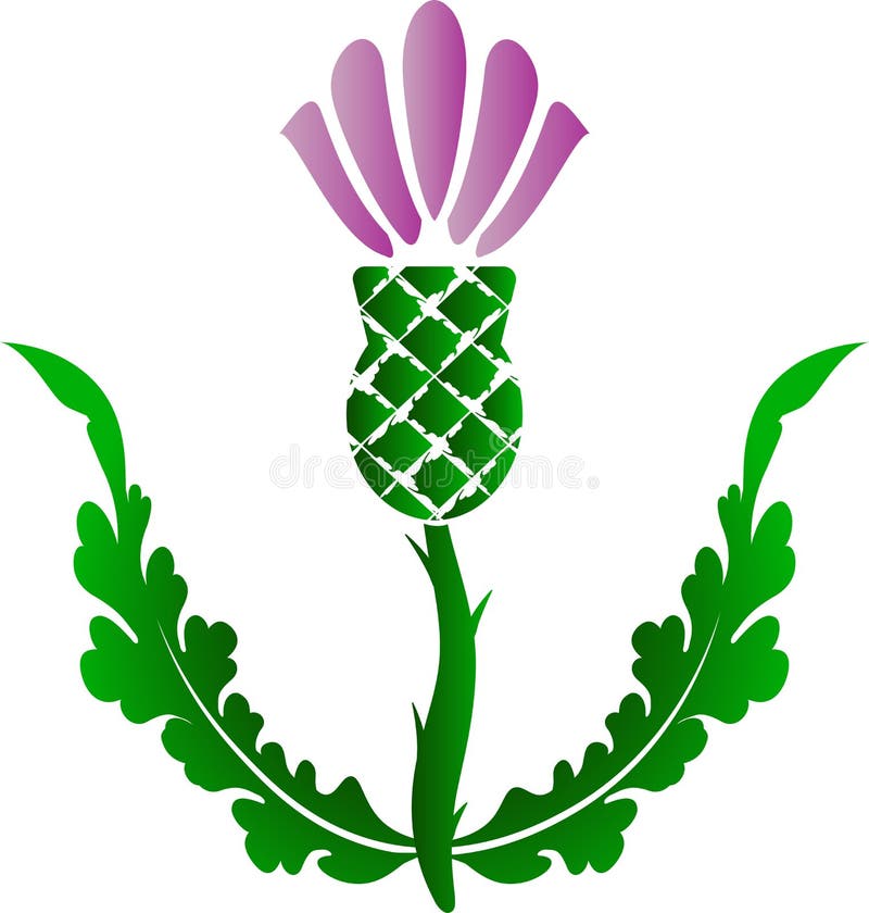 Thistle Logo Stock Illustrations – 414 Thistle Logo Stock Illustrations ...