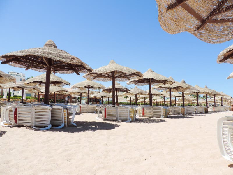 Trobical beach in Zanzibar stock photo. Image of tanzania - 25185078