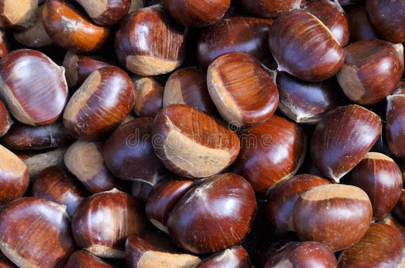 Reife Kastanien Und Herbstlaub Oben Lokalisiert Auf Weißem Hintergrund ...