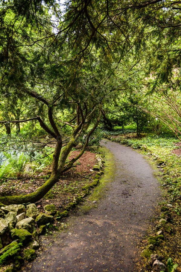 A Trodden Path in a City Park. Stock Photo - Image of beauty ...