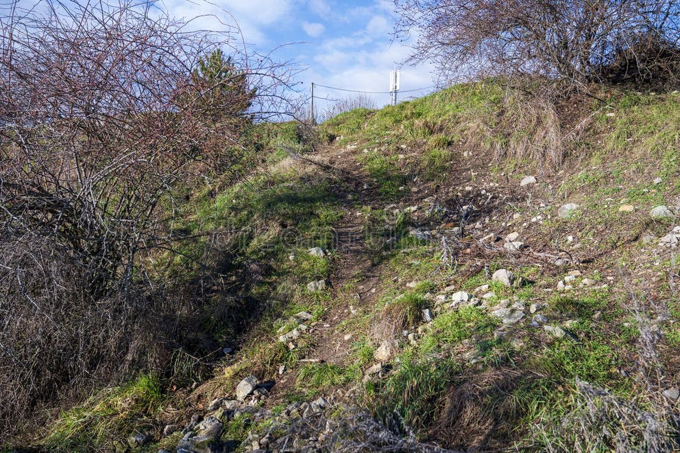 Trodden Path in the Grass between the Bushes. Blue Sky with White ...